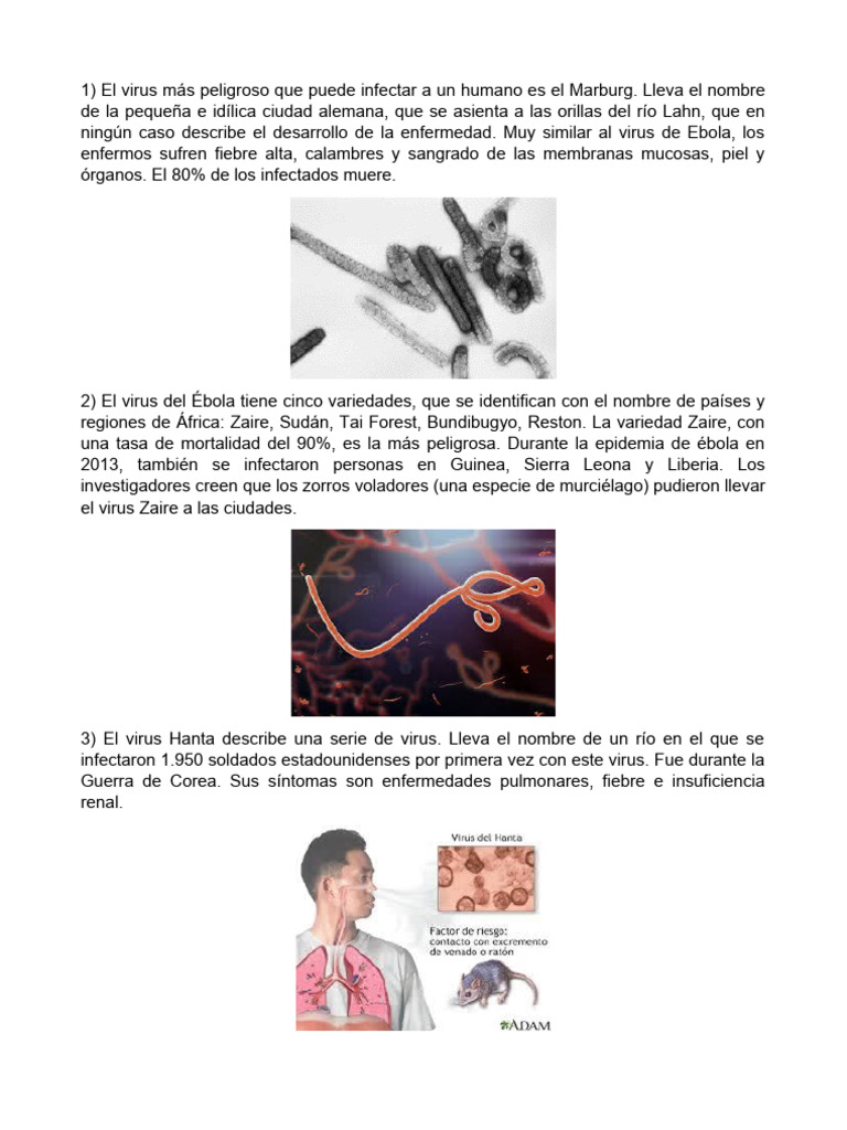 10 Virus Mas Mortales Del Mundo | PDF | Virus | Inmunología