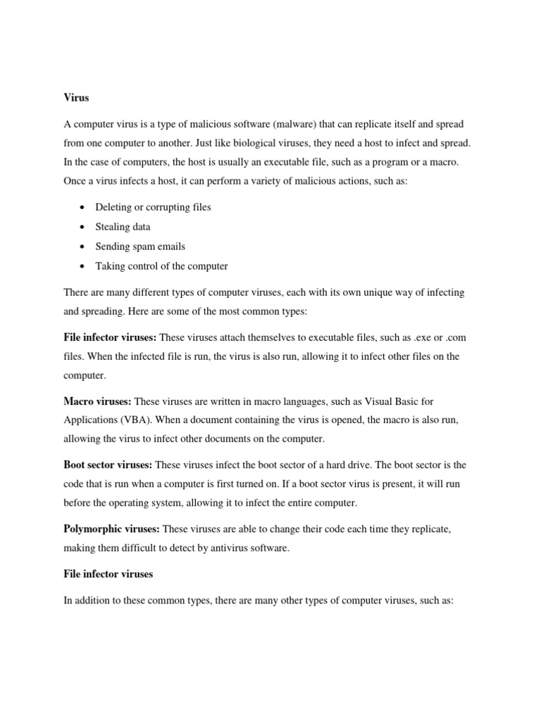 Understanding Computer Viruses and Firewalls | PDF | Computer Virus ...