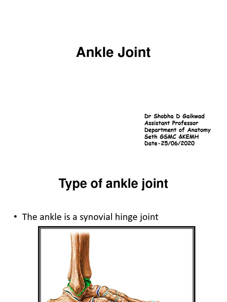 Ankle Joint | PDF | Social Science | Science & Mathematics