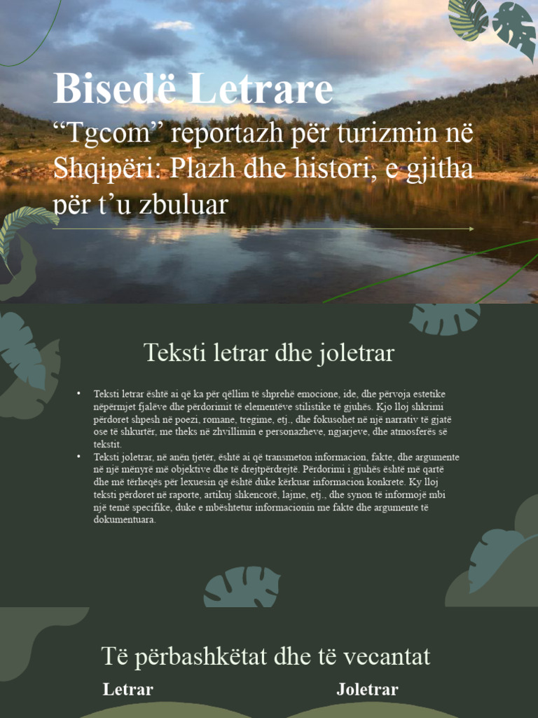Bised Letrare e Fundit Per Selim Alliun | PDF