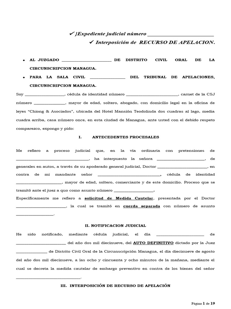 Modelo Recurso de Apelación... | PDF | Mandato | Apelación