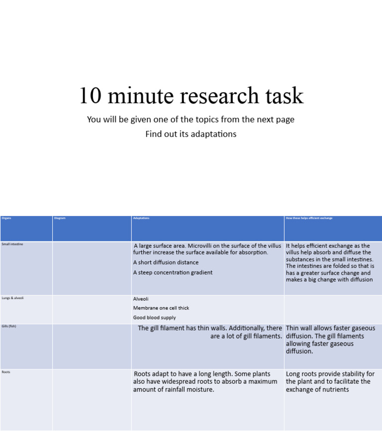 10 Minute Task Research | PDF