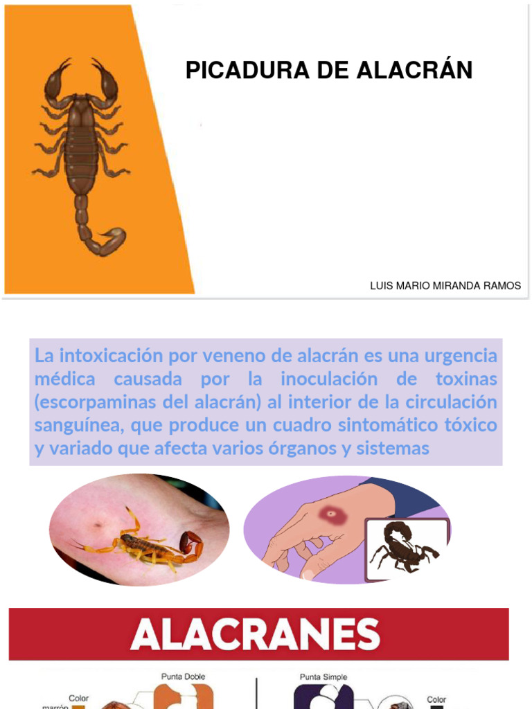 Urgencias por Picadura de Alacrán | PDF | Canal de iones | Medicina CLINICA