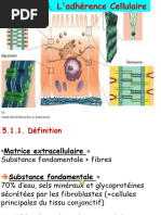 Types de jonctions cellulaires expliqués | PDF | Biologie cellulaire ...