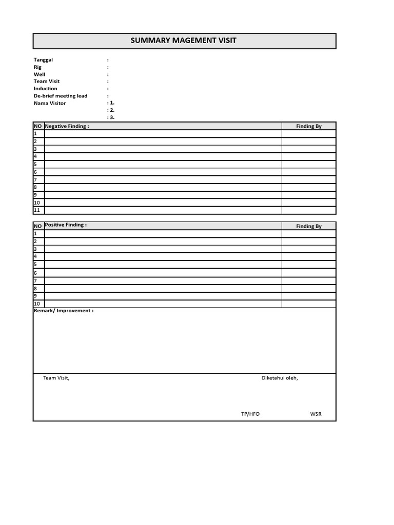 Management Visit Summary Report | PDF