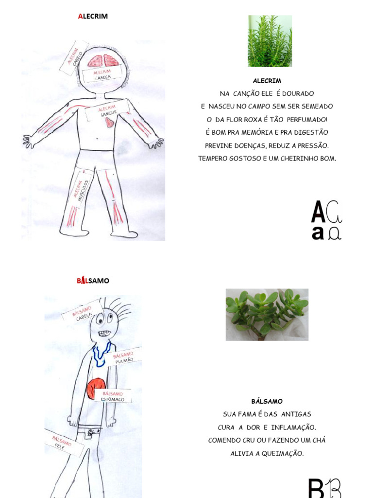 Plantas Medicinais: Do Alecrim à Zedoária | PDF | Coentro | Funcho
