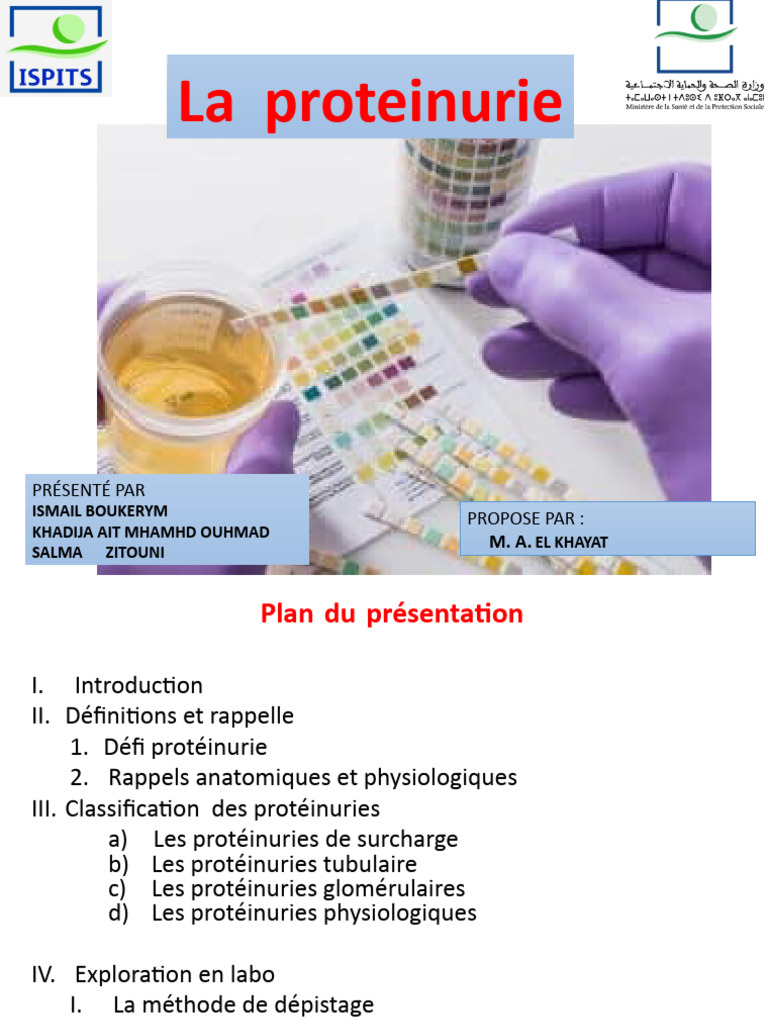 Classification et exploration de la protéinurie | PDF | Examen médical ...