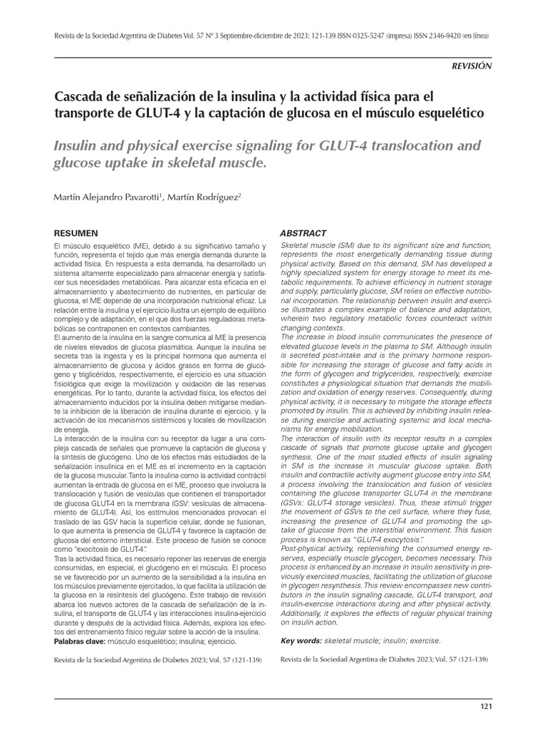 Insulina y ejercicio: GLUT-4 en músculo | PDF | Quinasa | Transducción ...