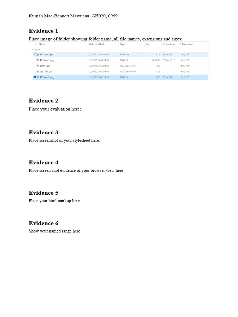 Web Development Project Evidence | PDF