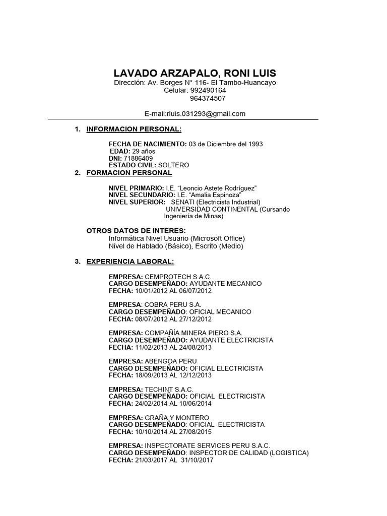 CV Roni 2023 | PDF | Seguridad y salud ocupacional | Automatización