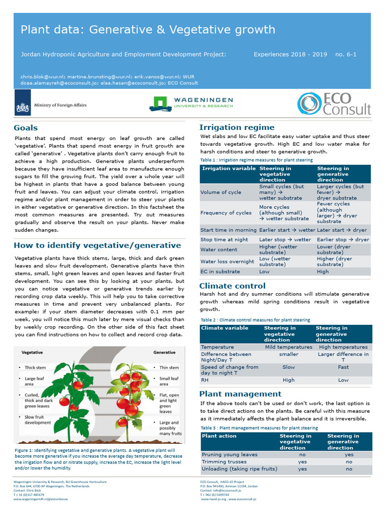 6 - Plant Data Collection Interpretation - 0 | PDF | Plants | Leaf