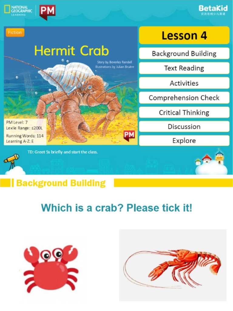 4hermit Crab | PDF