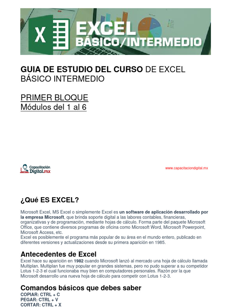 Guia de Estudio Del Curso de Excel Basico Intermedio | PDF | Microsoft Excel | Fórmula