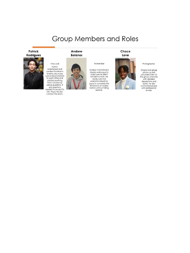 Team Member Roles | PDF