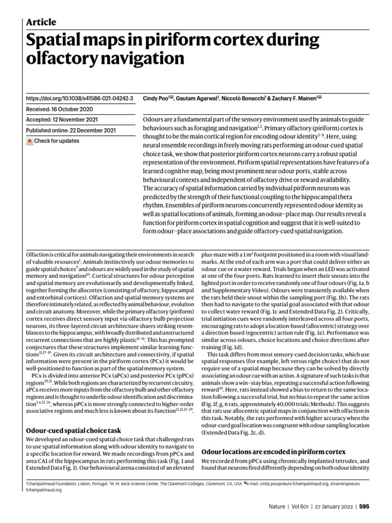 Spatial Maps in Piriform Cortex During Olfactory Navigation: Article ...