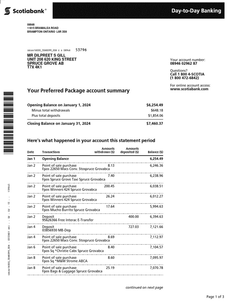 Statements | PDF | Banking Technology