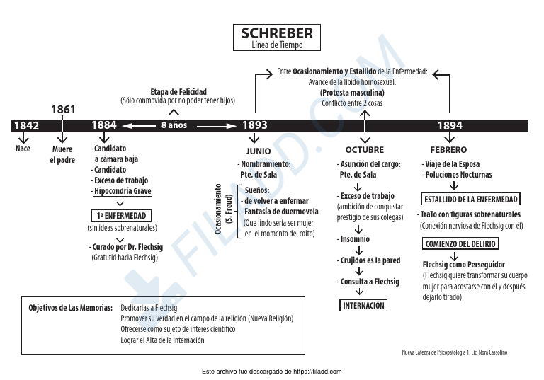 Ocasionamiento y Delirio en Schreber | PDF | Conceptos psicologicos ...