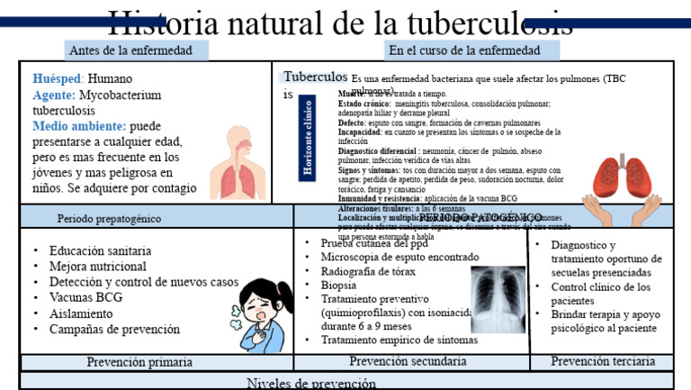 Historia Natural de La TBC | Descargar gratis PDF | Tuberculosis ...