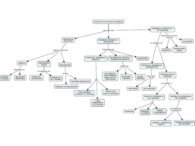 Mapa Conceptual Evolución de Los Procesos Psicológicos | PDF