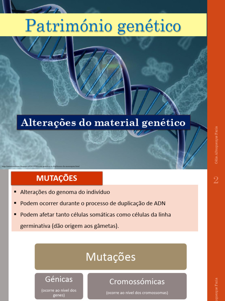 Mutações Genéticas: Tipos e Efeitos | PDF | Mutação | Gene