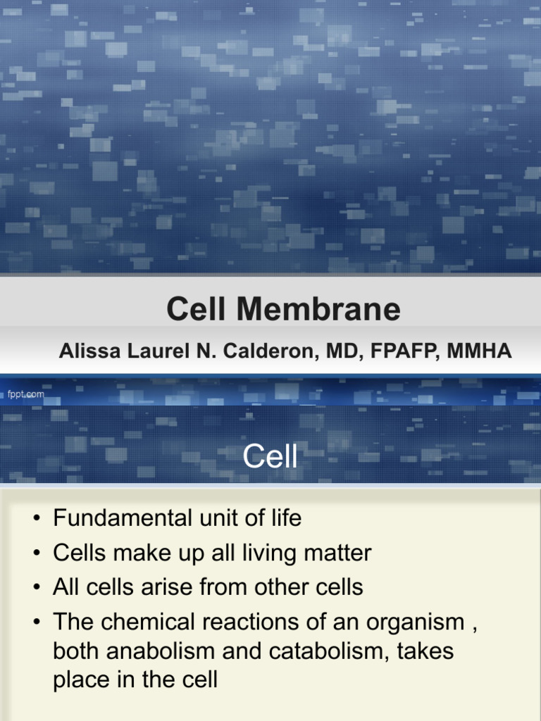 Cell Membrane Composition and Function | Download Free PDF | Cell ...