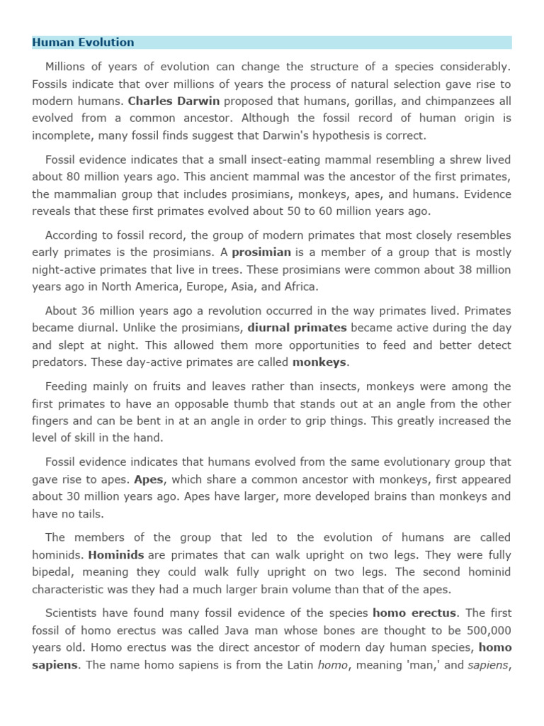 Human Evolution GRADO NOVENO | PDF | Homo | Human