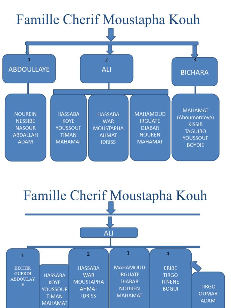 Famille MAHAMAT (Aboumordoye) Bichara Cherif | PDF | Arabes | Vie de ...