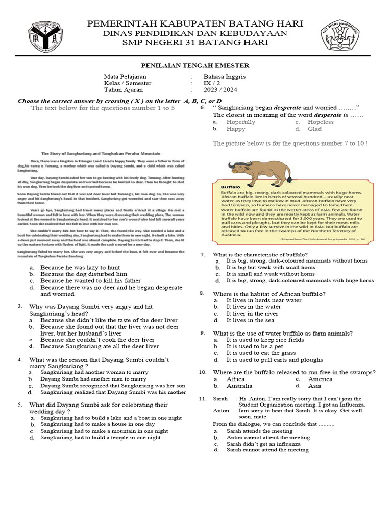 PTS IX 2021-2024 | PDF