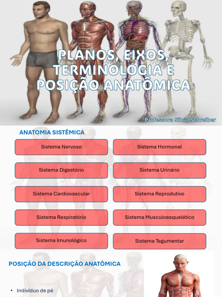 Posição Anatômica e Terminologia Relacionada | PDF | Anatomia | Corpo ...