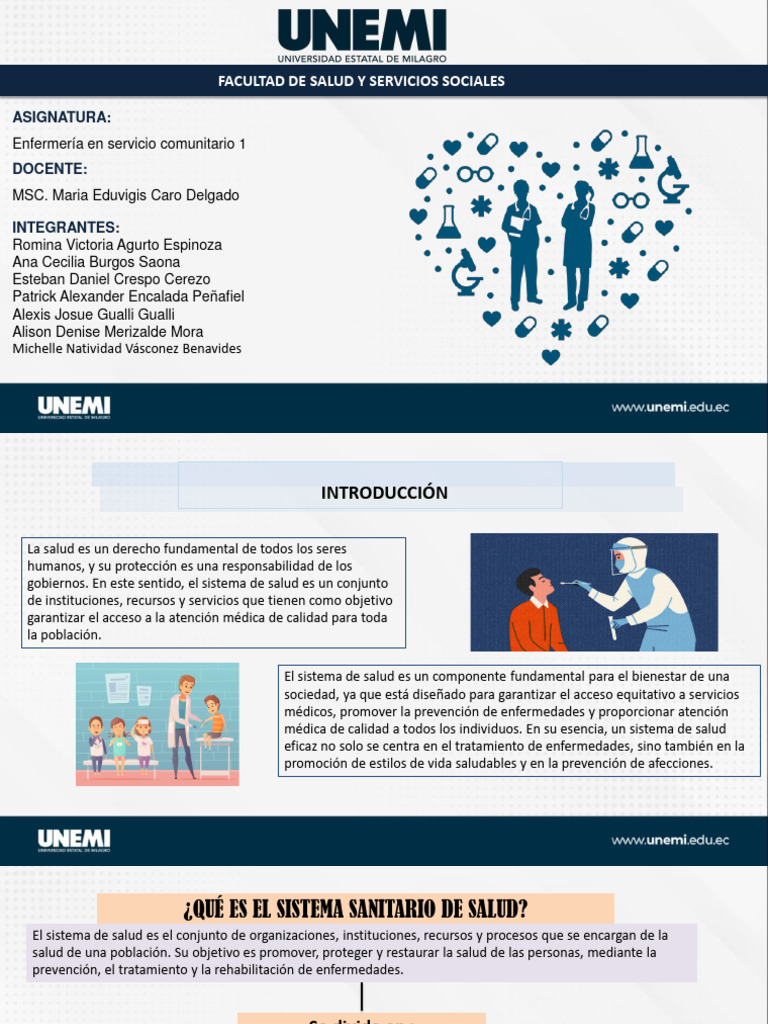 Sistema de Salud: Tipos y Componentes | PDF | Cuidado de la salud ...