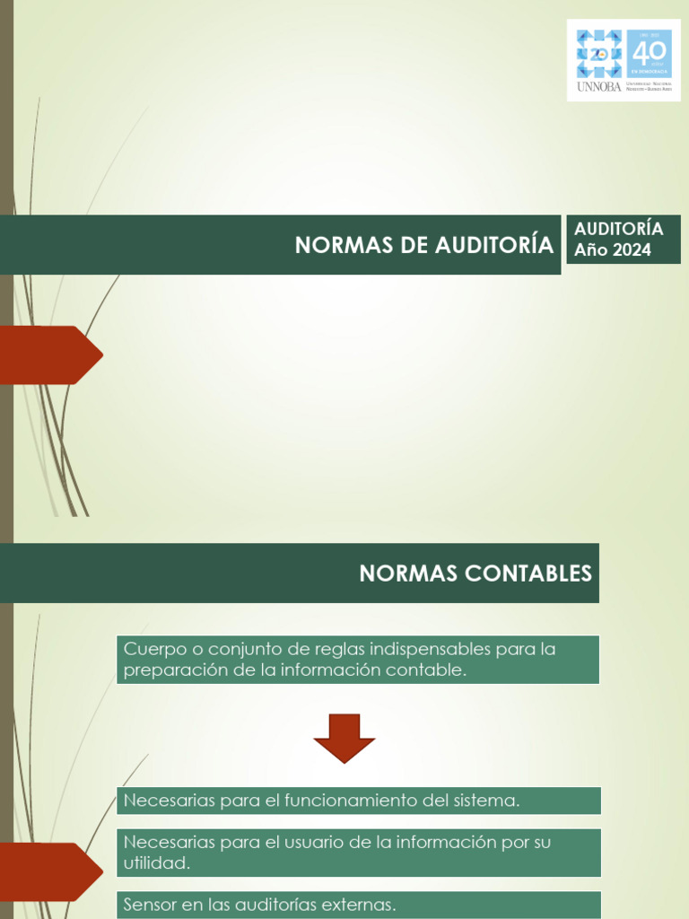 Clase 2 - Normas Contables | PDF | Contabilidad | Auditoría
