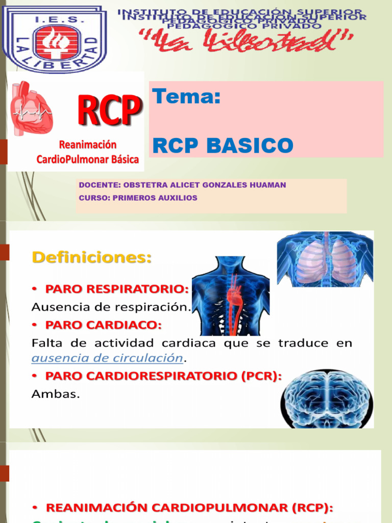 RCP BASICO (Autoguardado) | PDF