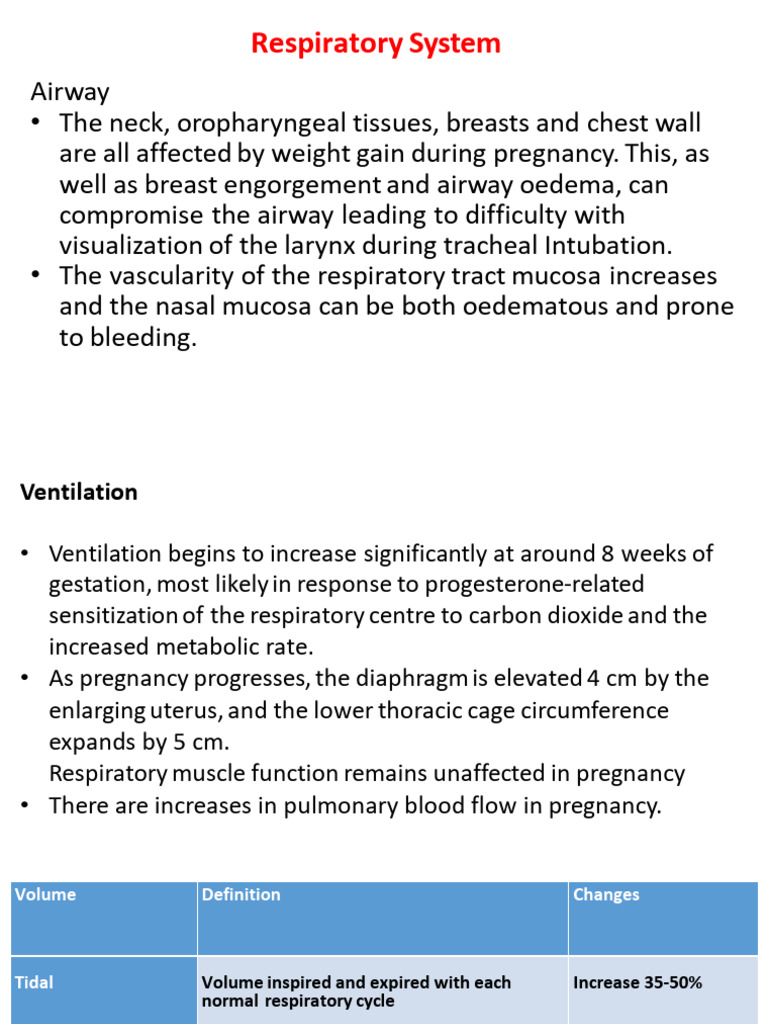 11 Final | PDF | Breathing | Respiratory System