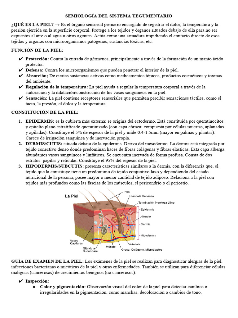 Semiología Del Sistema Tegumentario | Descargar gratis PDF | Piel | Anatomía