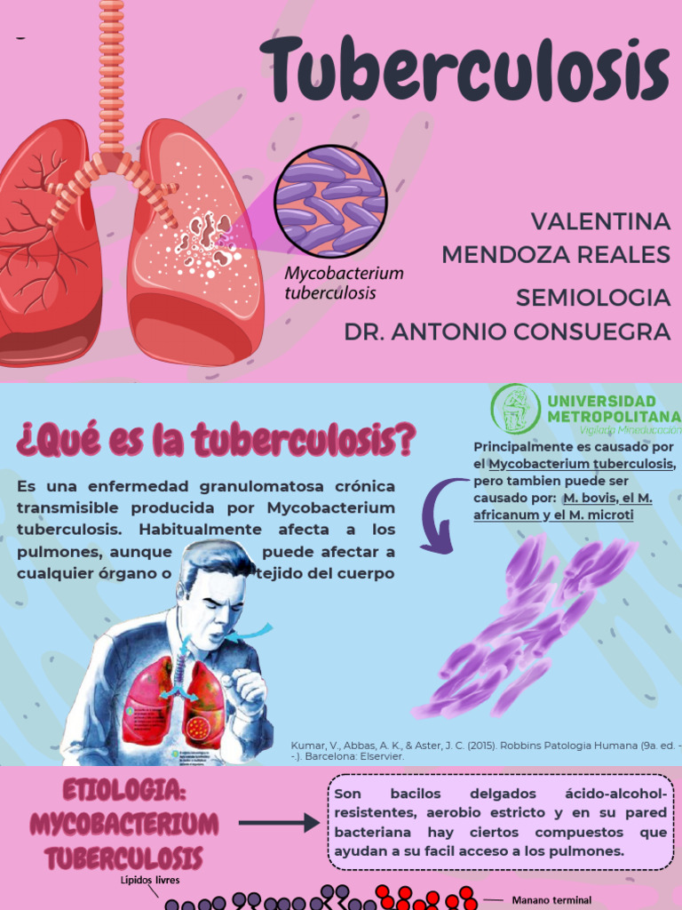 Tuberculosis | PDF | Tuberculosis | Ciencias de la Salud
