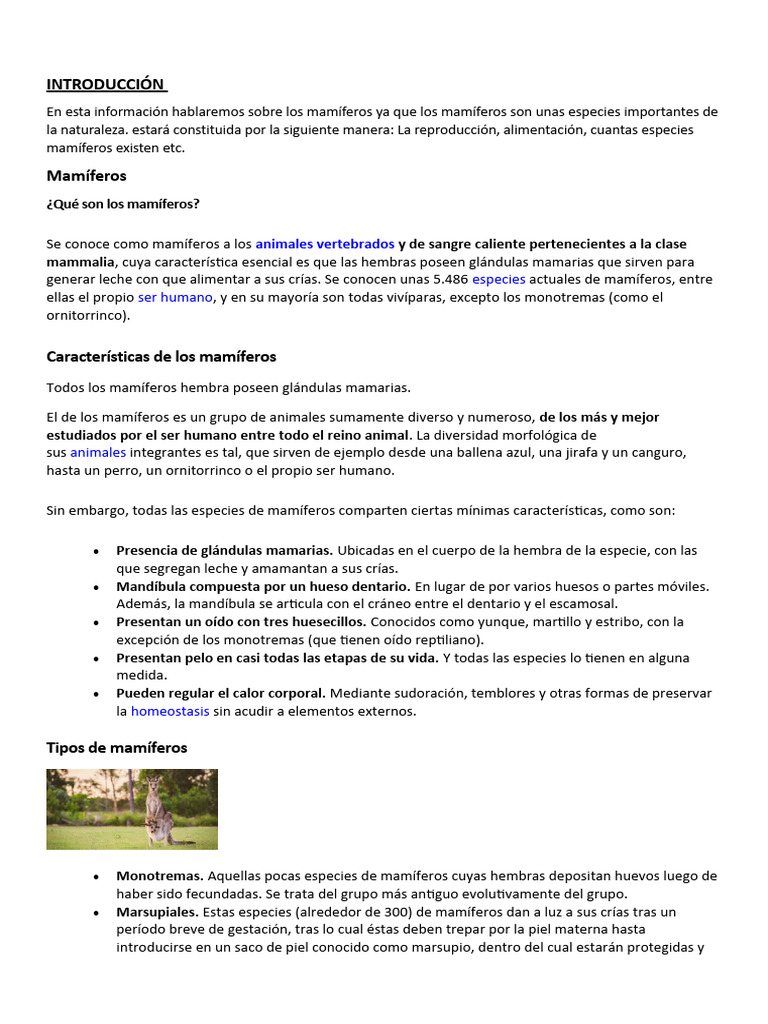 Información sobre mamíferos y sus especies | PDF | Mamíferos | Zoología