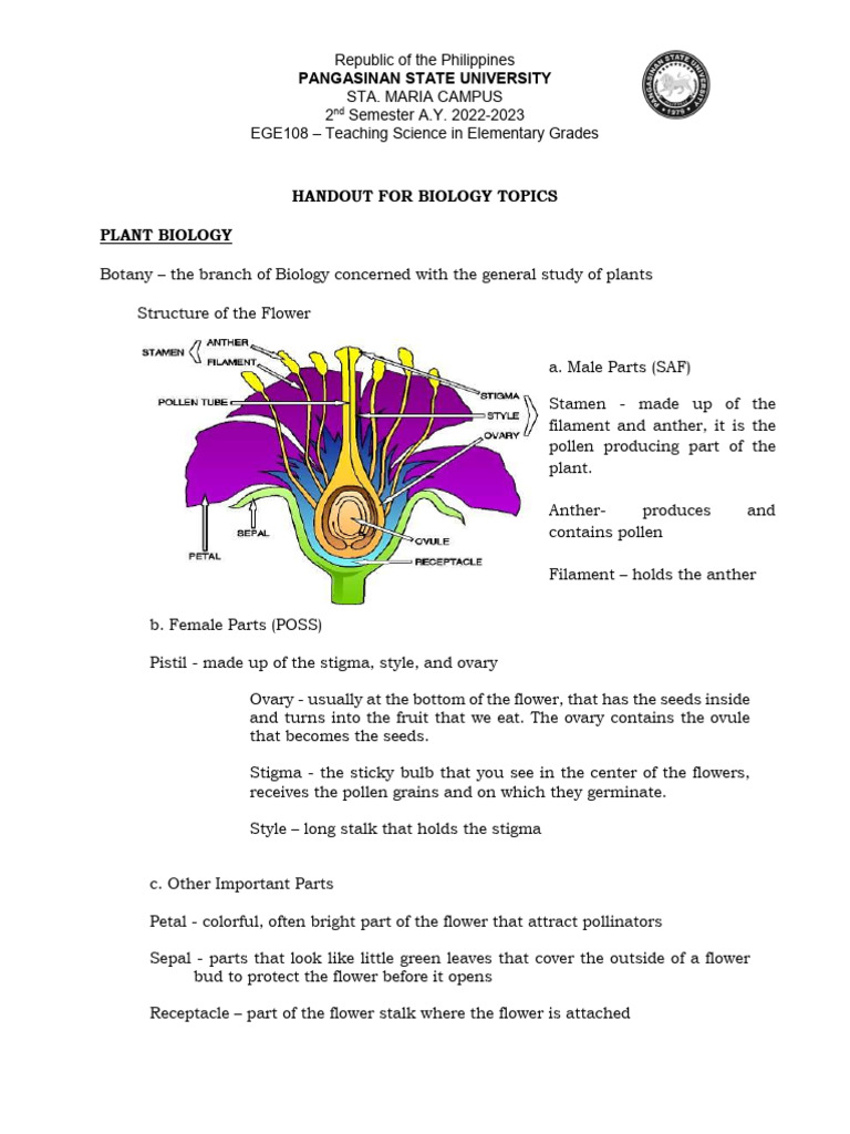 Plant and Animal Biology Overview | PDF | Muscle | Respiratory Tract