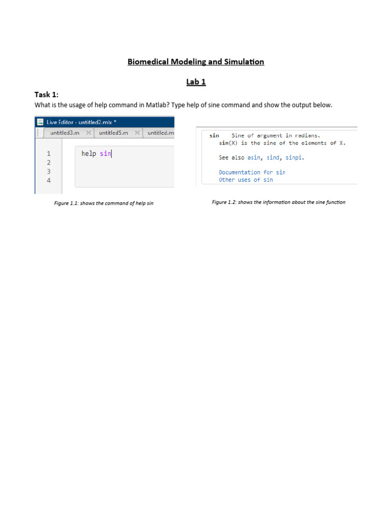 Biomedical Modeling and Simulation | PDF | Computers | Technology & Engineering