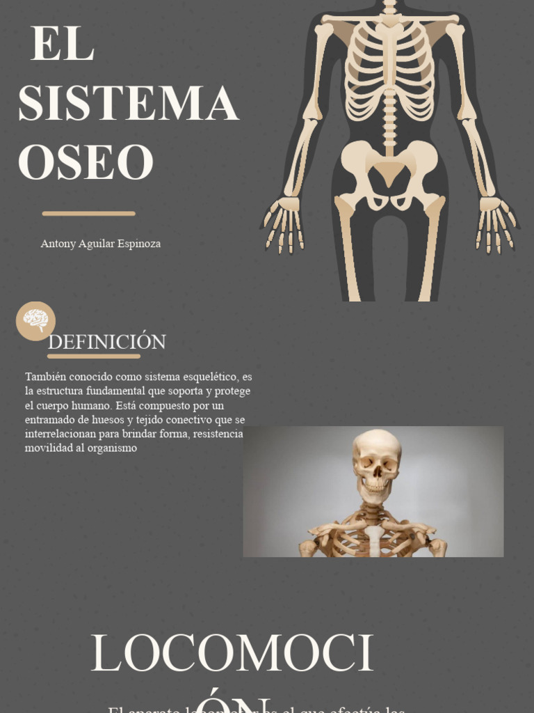 El Sistema Oseo-Oseo | PDF | Salud y bienestar