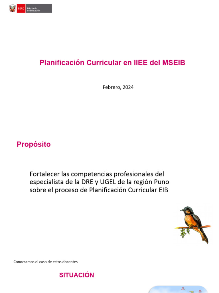Planificación Curricular EIB 2024 | PDF | Evaluación | Aprendizaje