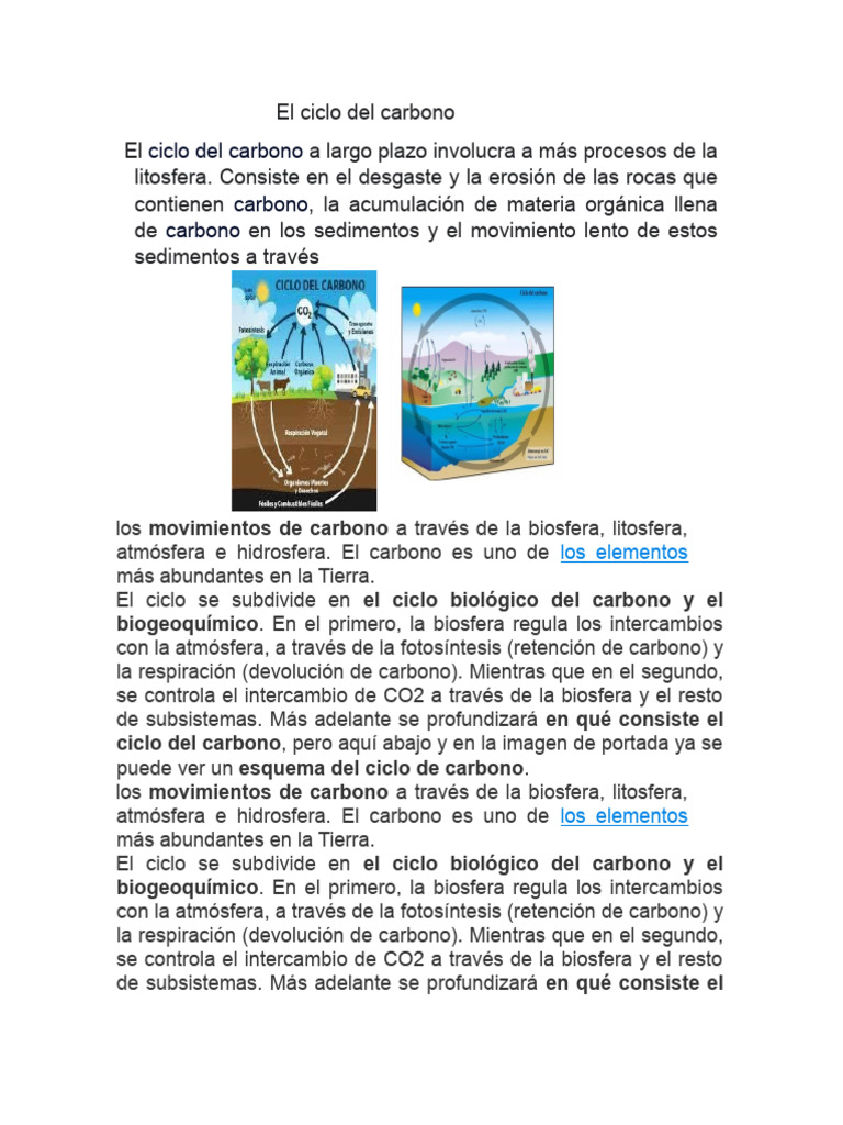 Copia de Tarea | PDF | Ciclo del carbono | Dióxido de carbono