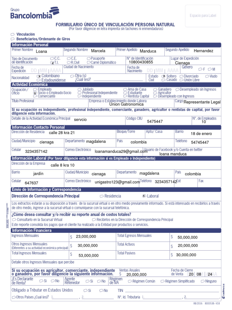 Formulario Financiero Persona Natural | PDF | Seguro | Bancos