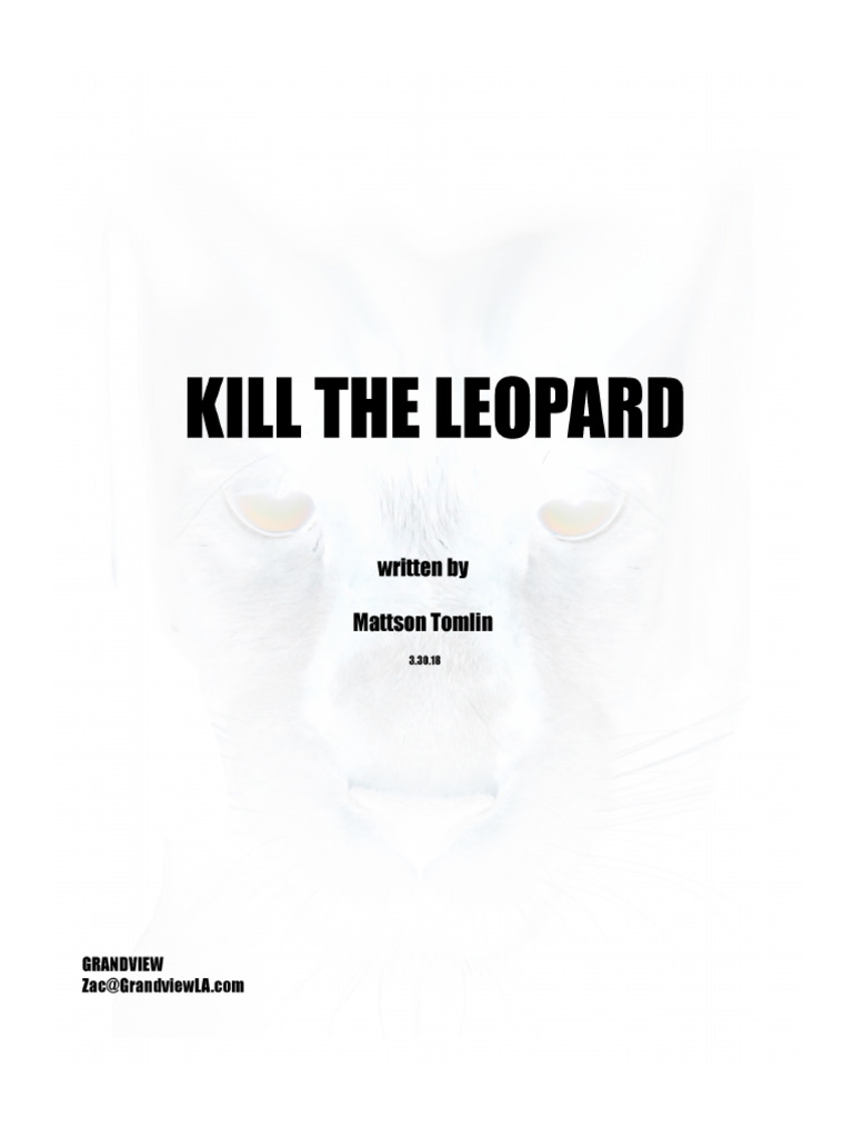 38 Kill The Leopard | PDF | Elevator
