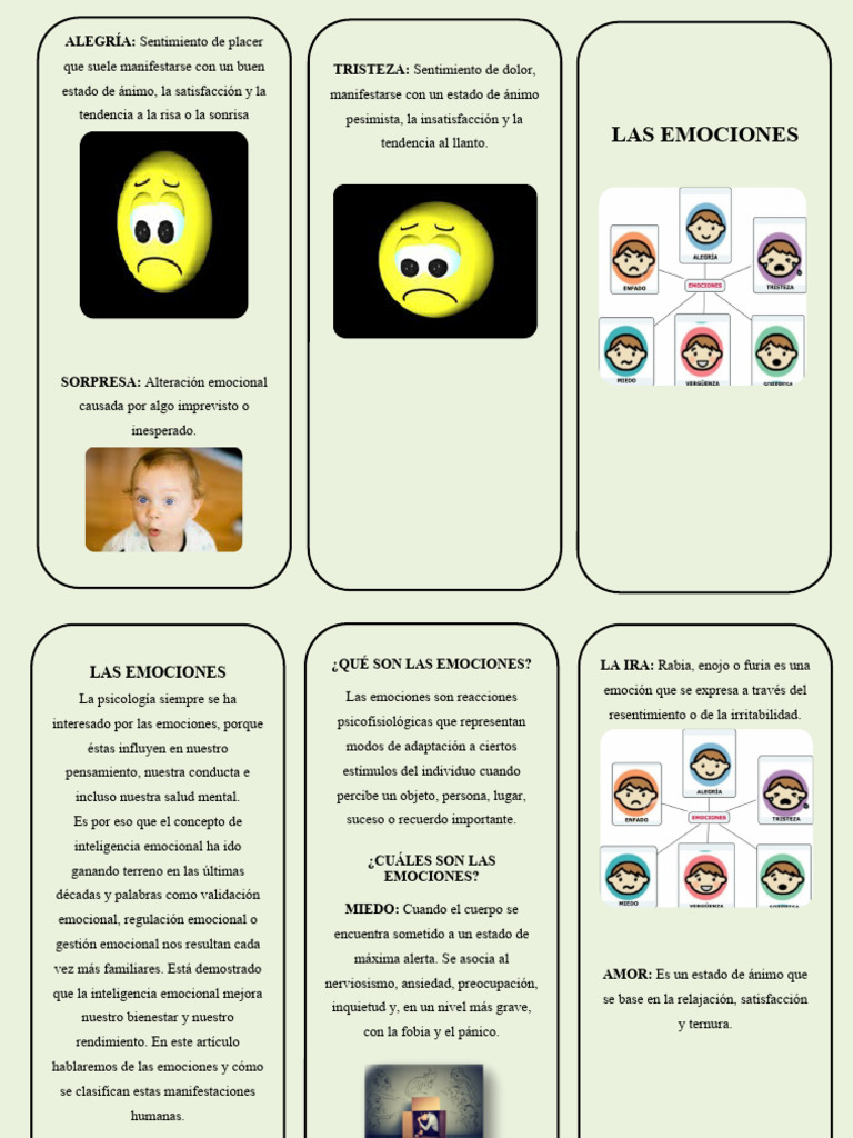 Triptico de Las Emociones 2 | Descargar gratis PDF | Las emociones | Ira Triptico de Las Emociones 2 | Descargar gratis PDF | Las emociones | Ira