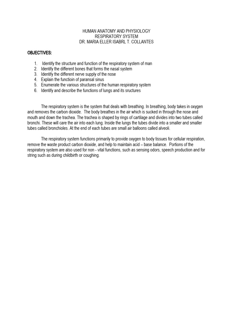 Module - Respiratory System | PDF | Lung | Respiratory Tract