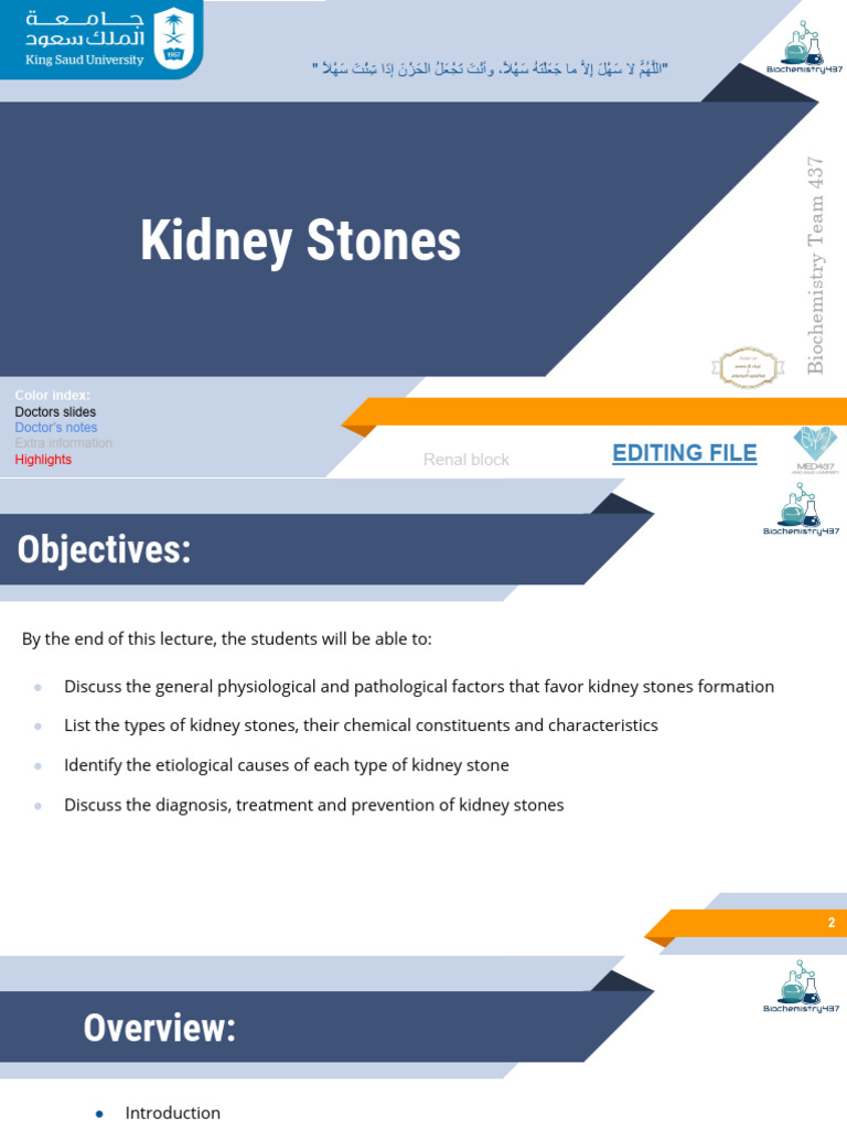 3.kidney Stones | PDF | Kidney | Urine