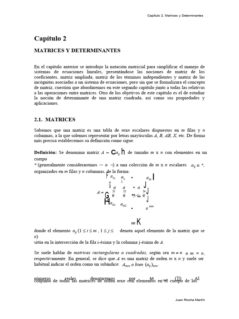 Matrices y Determinantes Teoria Parte I | PDF | Matriz (Matemáticas ...