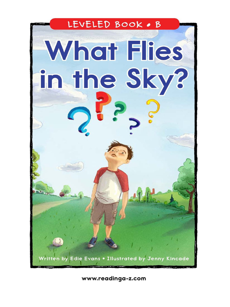 What Flies in The Sky | PDF