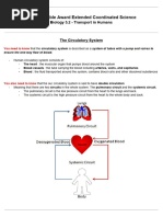 The Blood Circulation Flow Chart | PDF