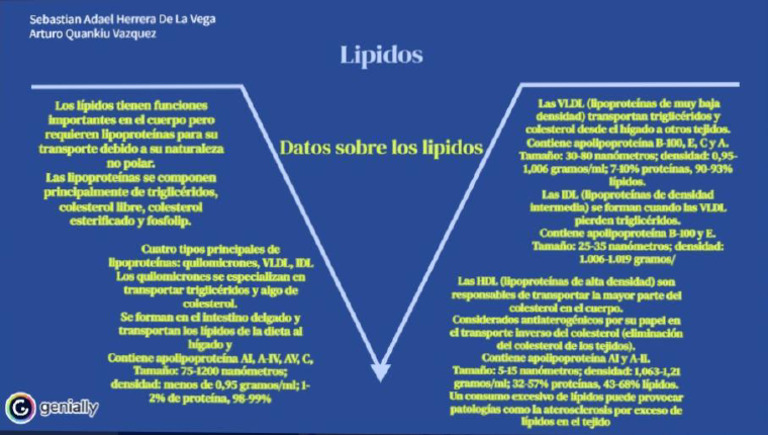 Bioquímica LIP | PDF
